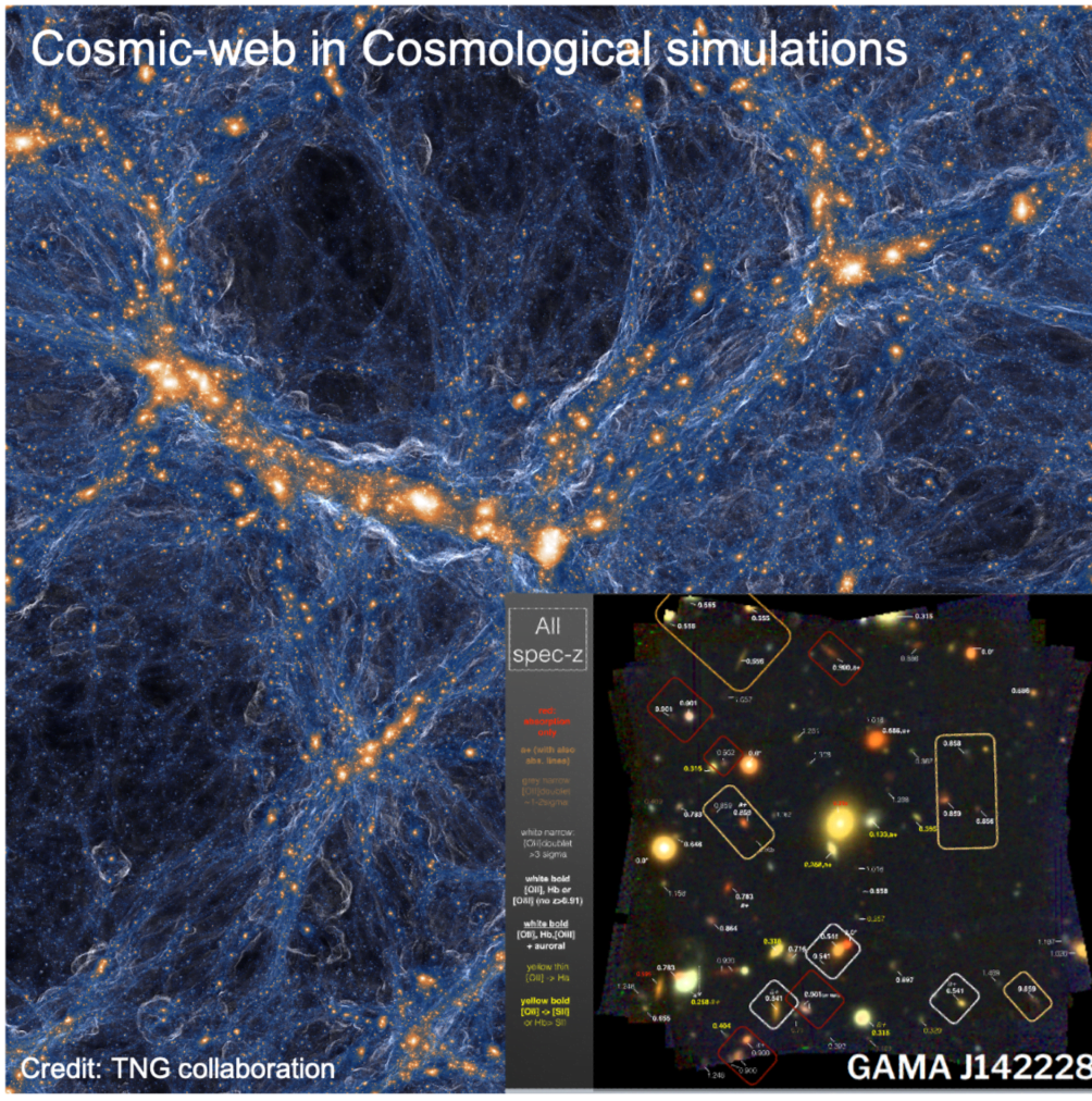 Detecting Cosmic Web using the MAGPI survey - ICRAR