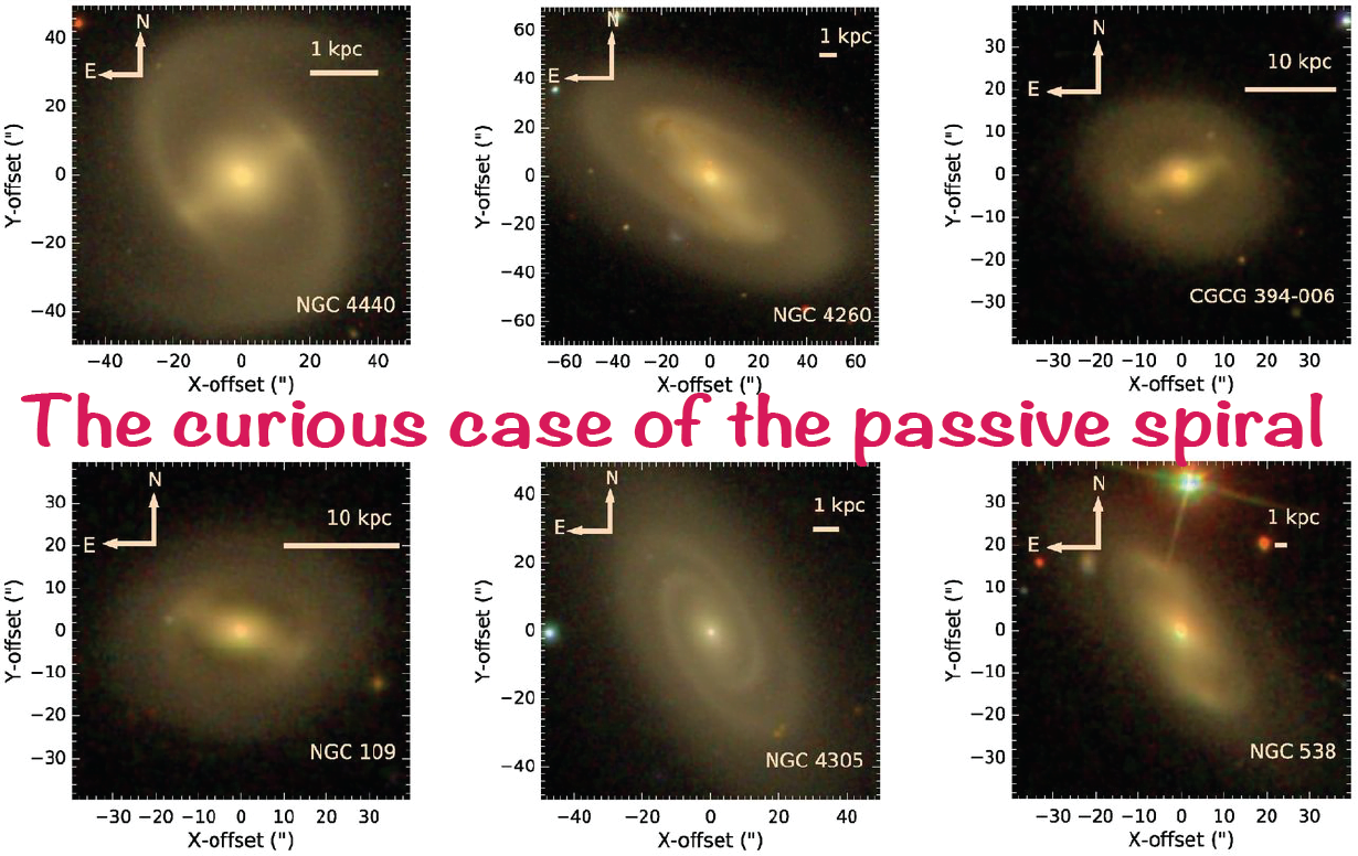 The curious case of the passive spiral galaxy - ICRAR